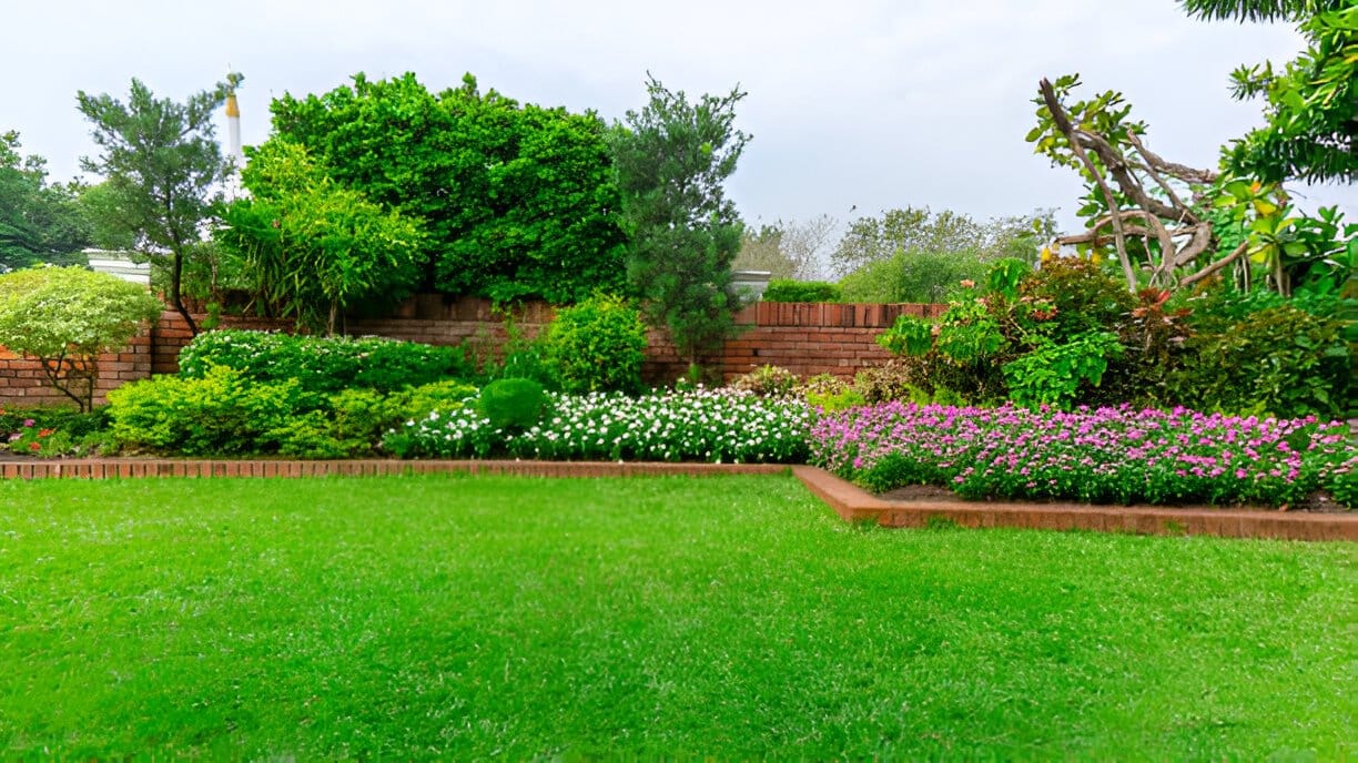 Discover The Best Landscaping Company in Bangkok | TDC