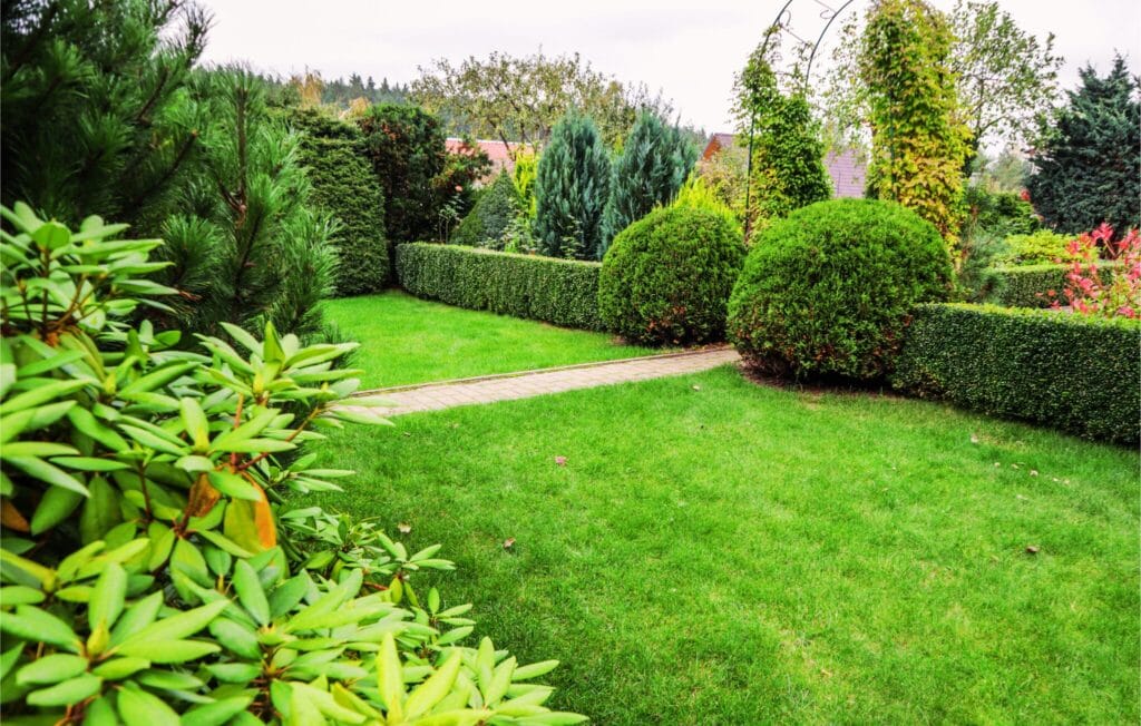 Explore The Best Landscaping Company in Rayong | TDC